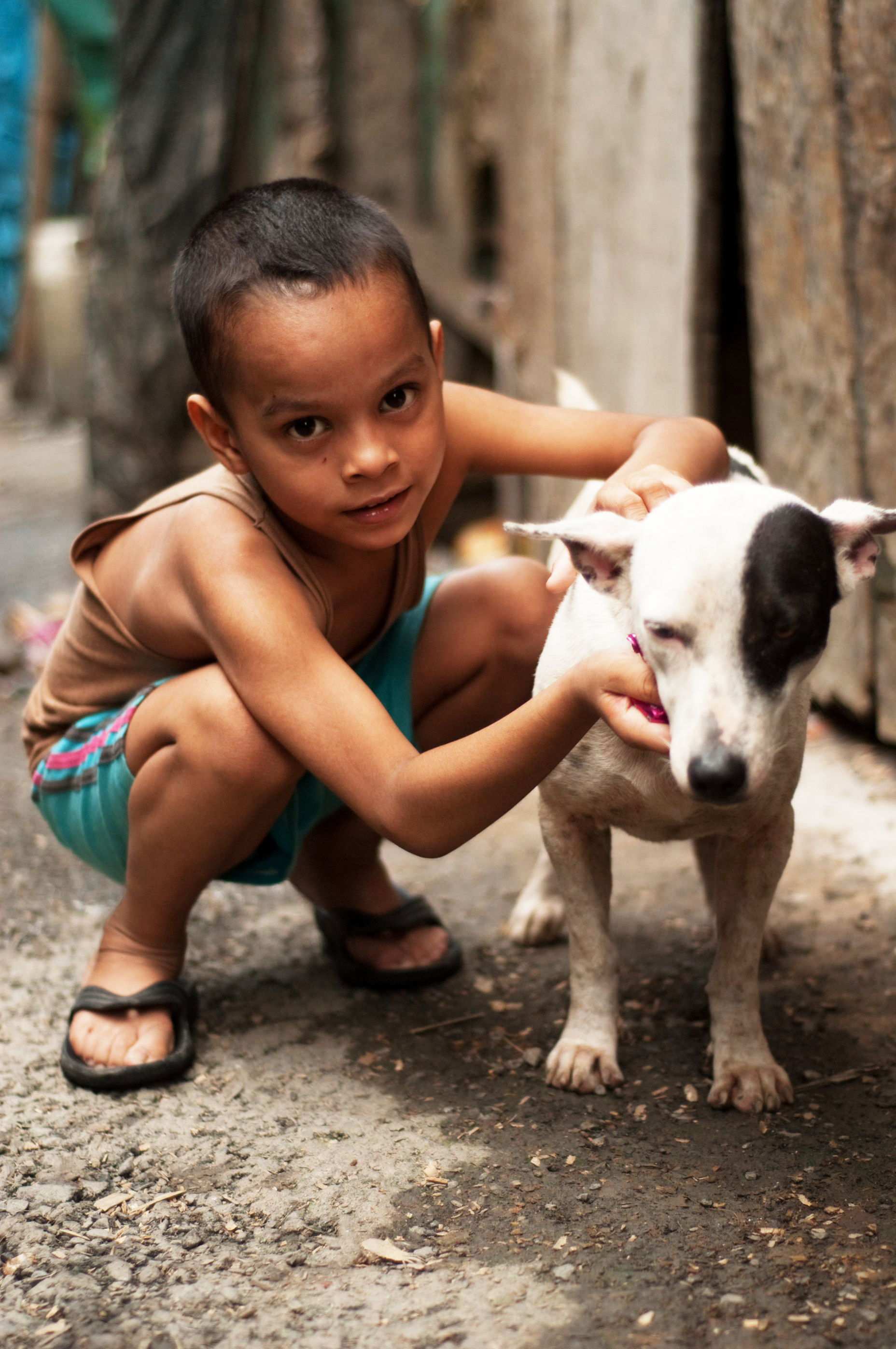 About | End Rabies Now